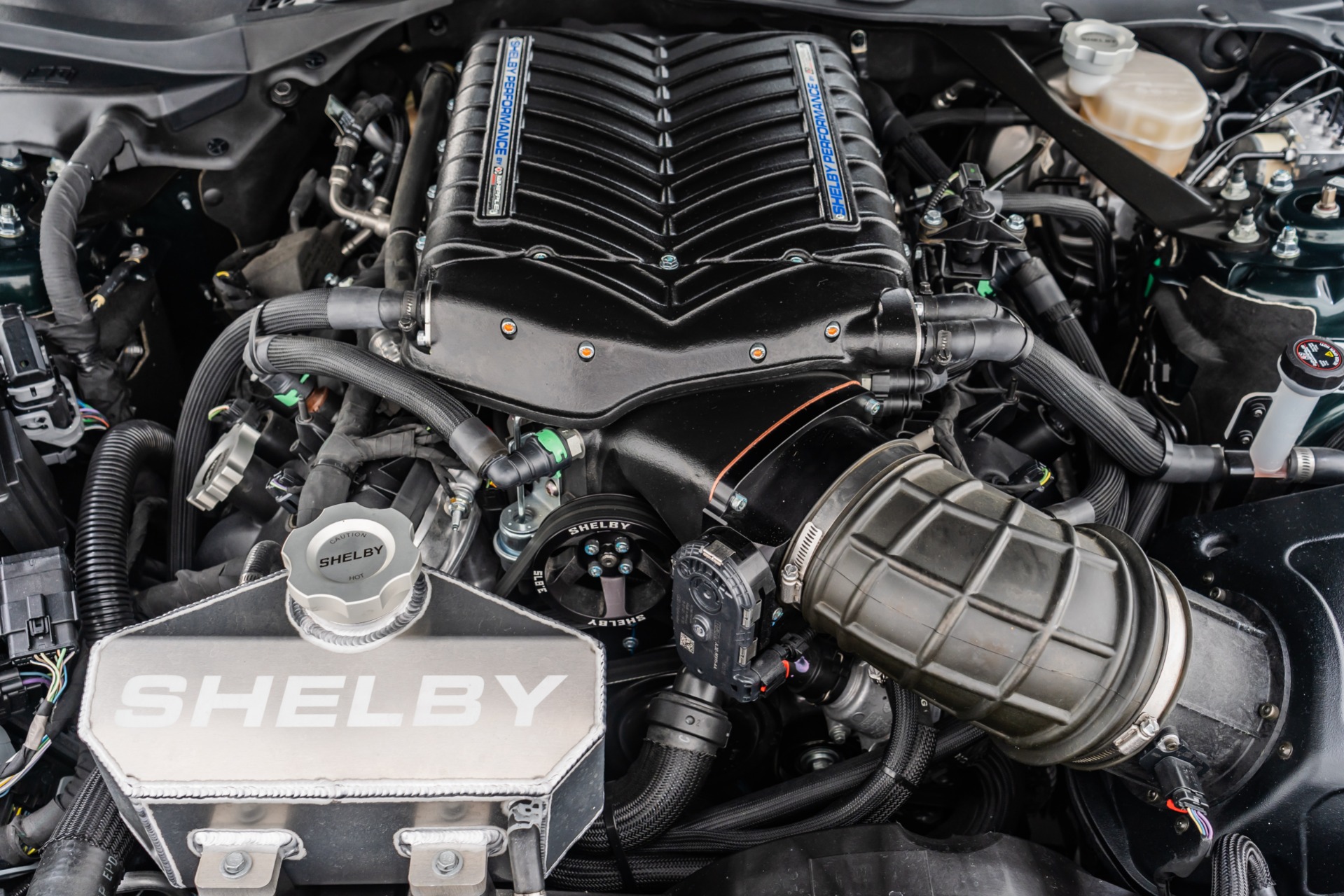 Shelby Gt500 Super Snake Engine