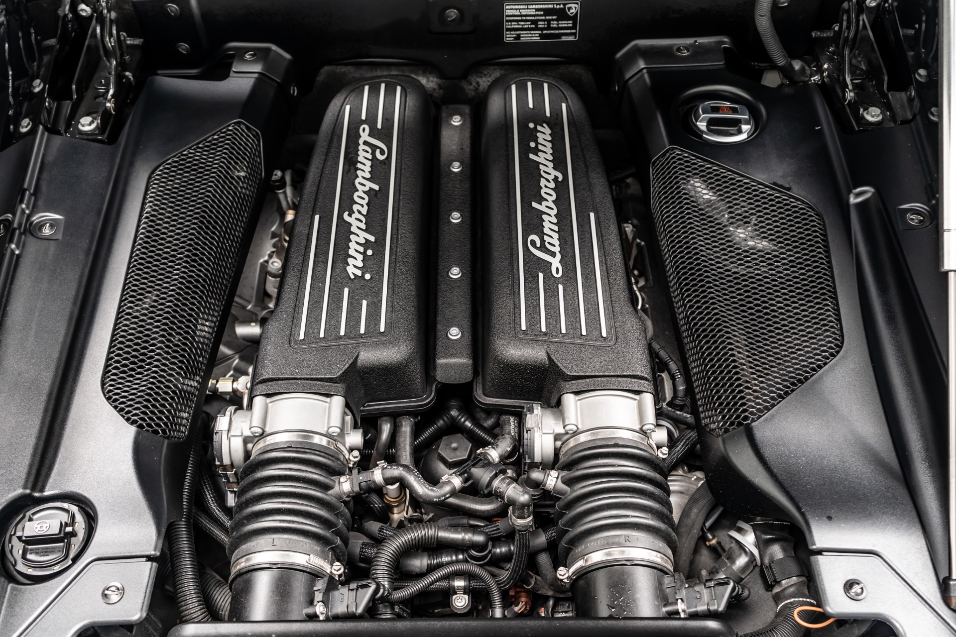 Lamborghini Murcielago Engine