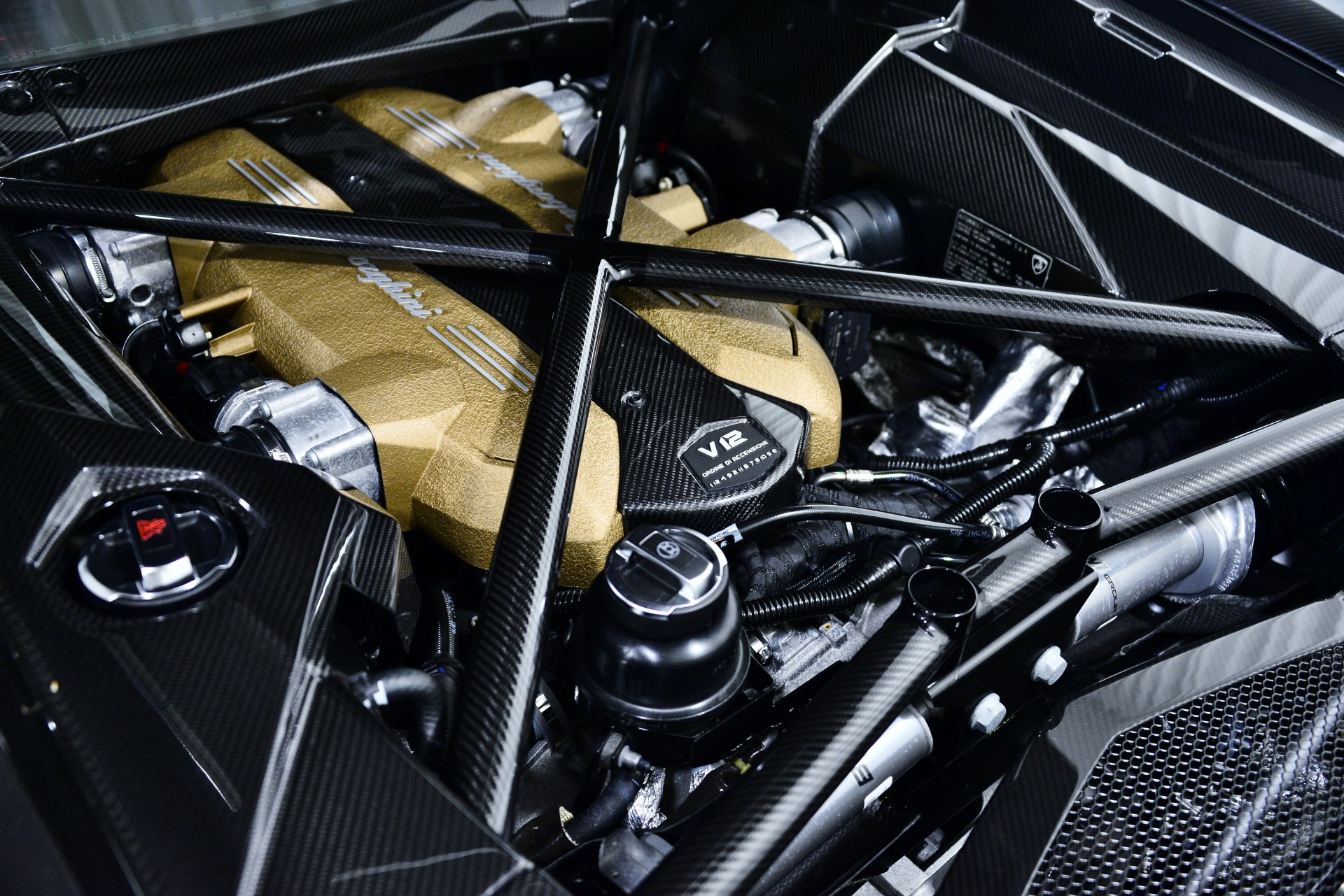 Lamborghini 2022 Veneno Engine